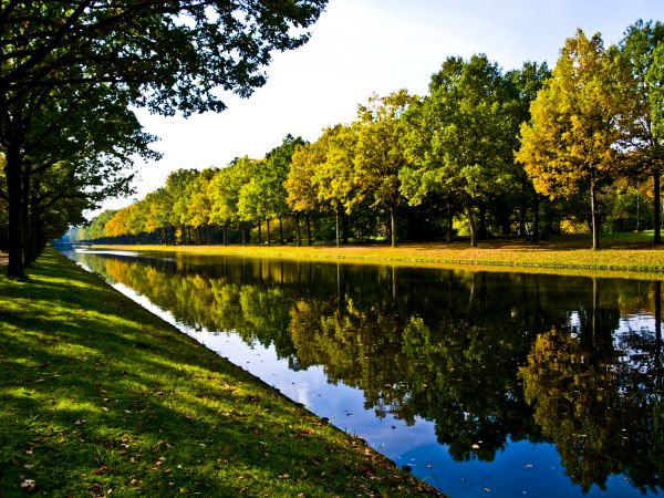 Bank Landscaping and Financial Garden | Bank Landscaping Pros